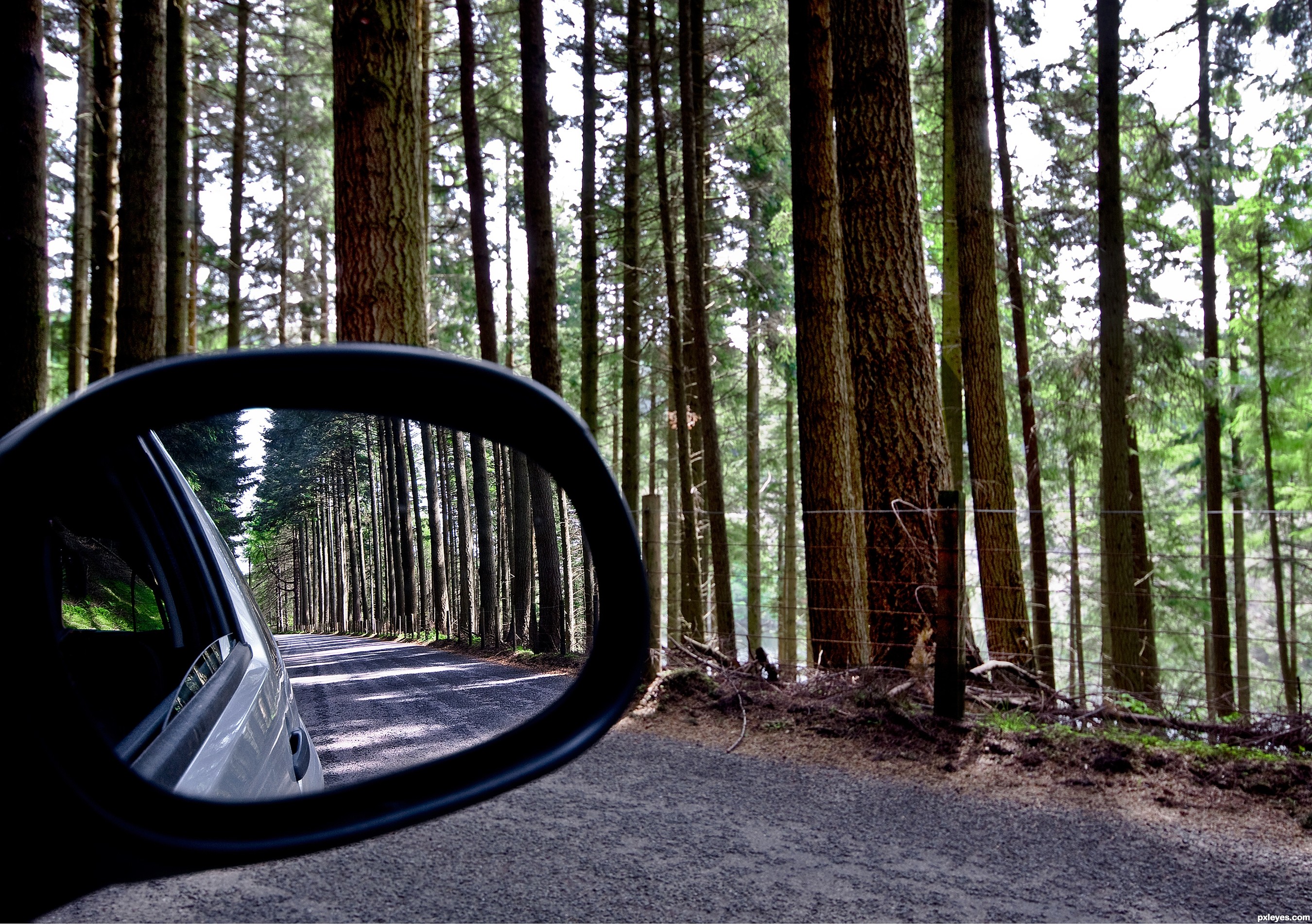 Before you move forward take a look back…….. – 5-Dimensionz